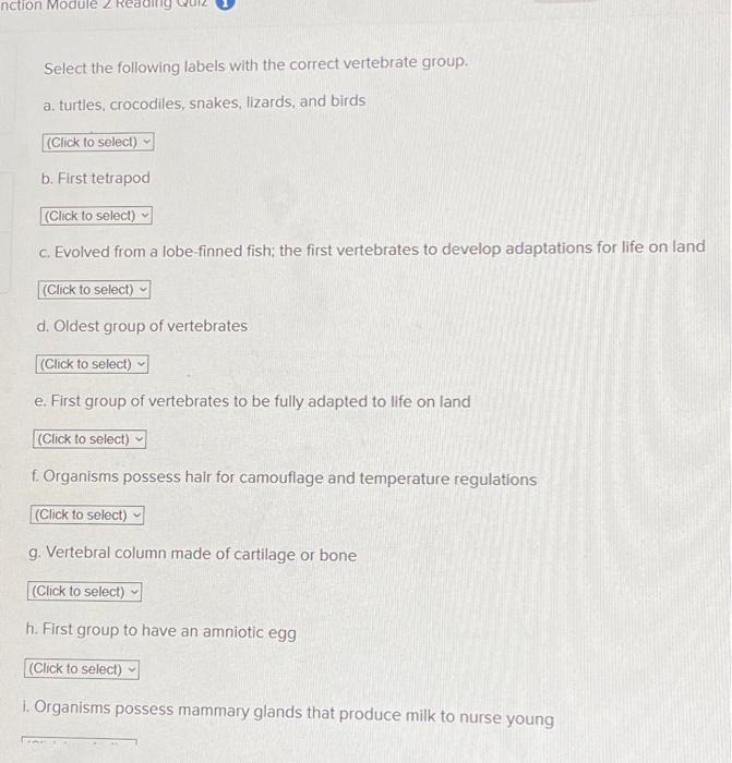Solved Select the following labels with the correct | Chegg.com