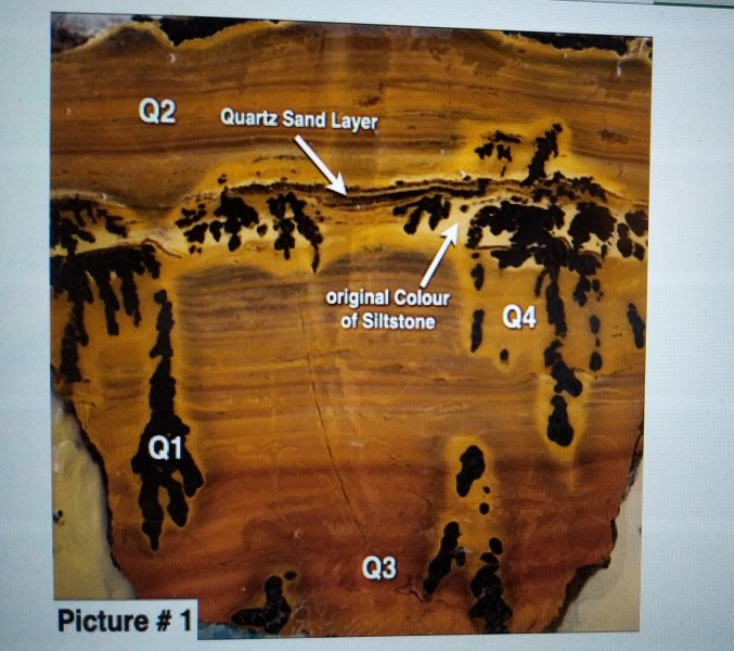 Solved Q2 Quartz Sand Layer original Colour of Siltstone Q4 | Chegg.com