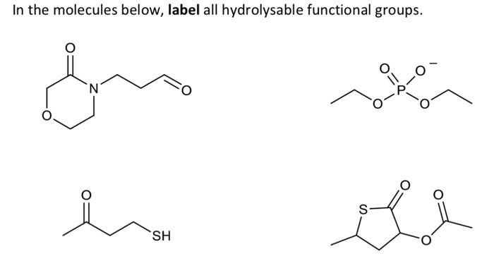 Solved In the molecules below, label all hydrolysable | Chegg.com