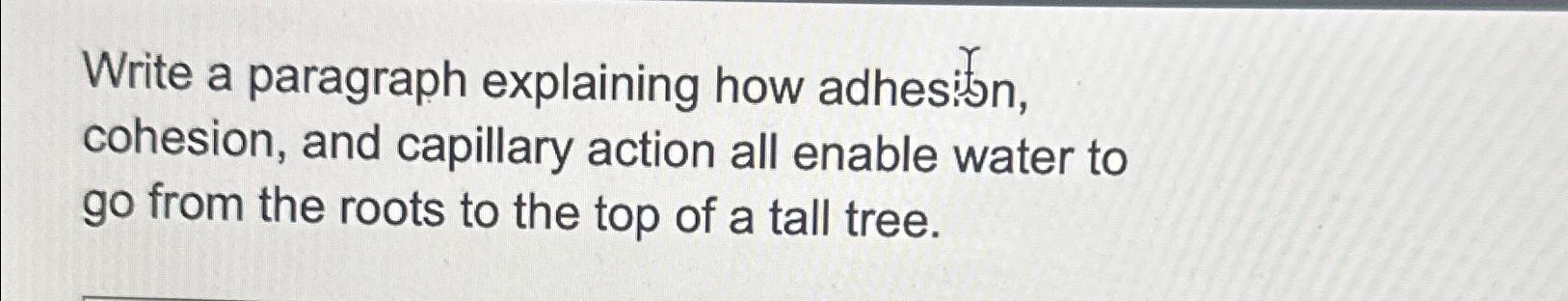 Solved Write a paragraph explaining how adhesiton, cohesion, | Chegg.com