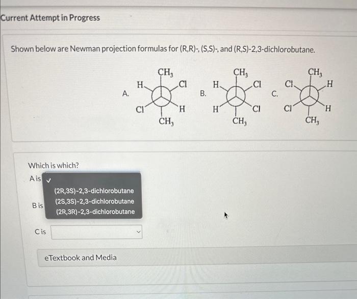 Solved Shown below are Newman projection formulas for | Chegg.com