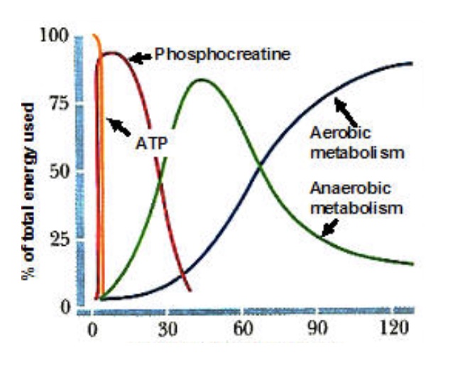 Solved Using the following graph, provide an explanation for | Chegg.com