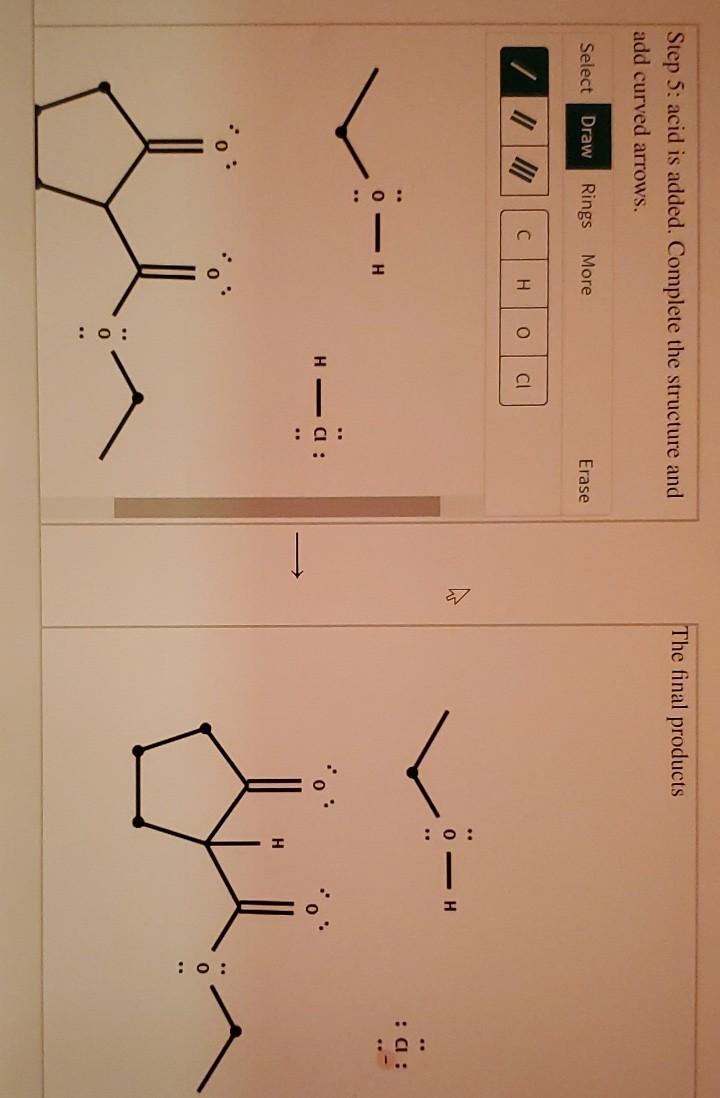 Solved Draw the most stable product formed in each of the | Chegg.com