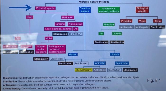 Solved Disinfection: The destruction or removal of | Chegg.com