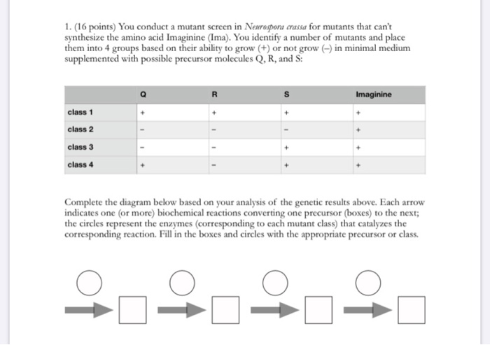 Solved 1. (16 points) You conduct a mutant screen in | Chegg.com