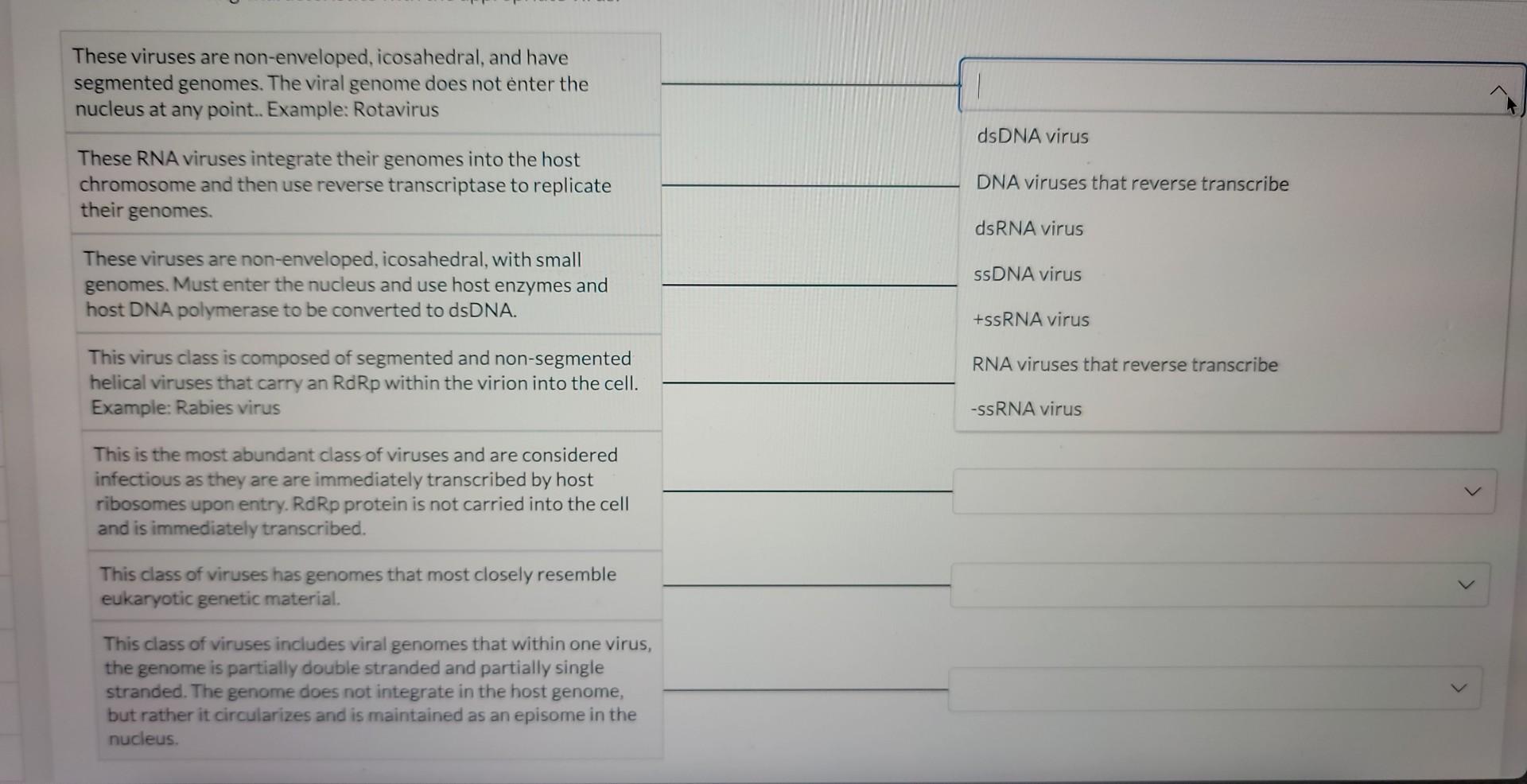 Solved These viruses are non-enveloped, icosahedral, and | Chegg.com