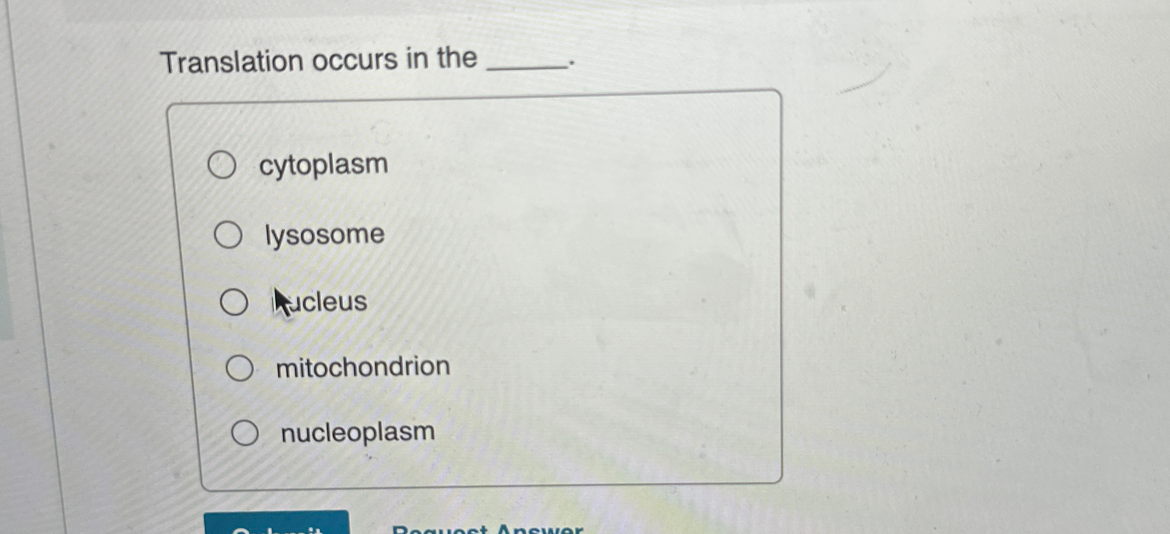 Solved Translation occurs in the | Chegg.com