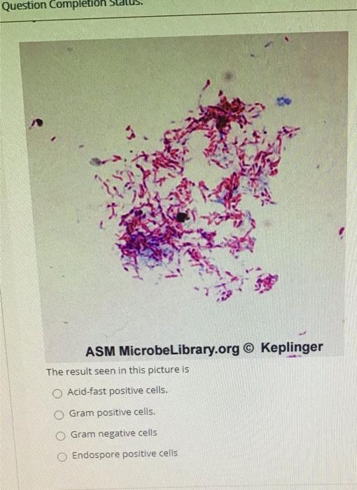 Solved Question Completion ASM MicrobeLibrary.org © | Chegg.com