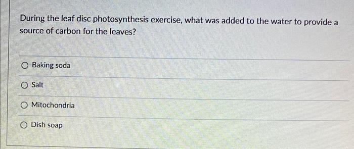 Solved For the experiment looking at the uptake of carbon | Chegg.com