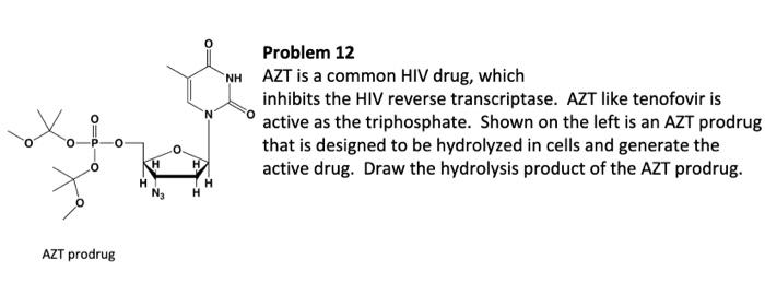 Solved Problem 12 AZT is a common HIV drug, which inhibits | Chegg.com