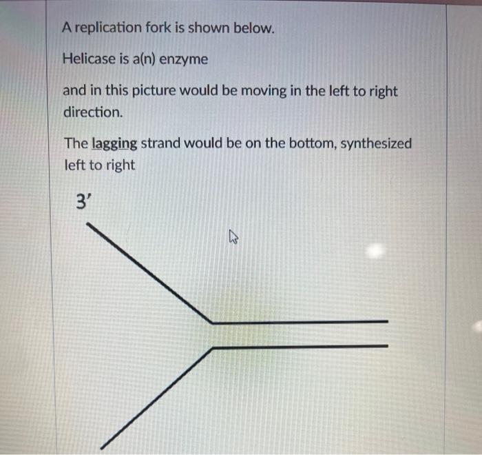 Solved A replication fork is shown below. Helicase is a(n) | Chegg.com