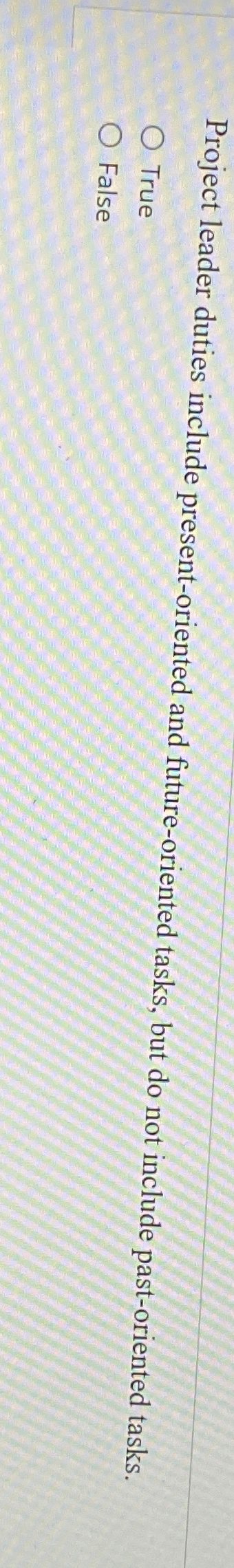 Solved Project leader duties include present-oriented and | Chegg.com