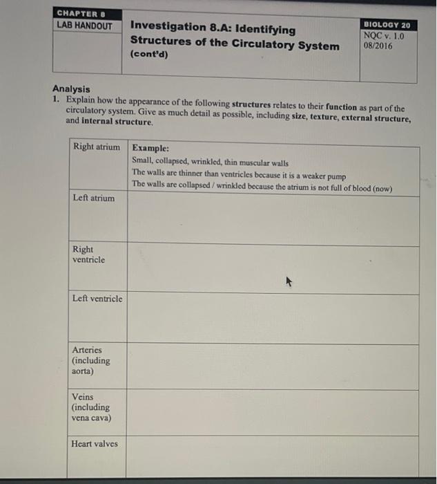 Solved Analysis 1. Explain how the appearance of the | Chegg.com