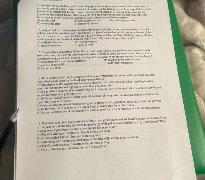 Solved 11. Imagine you are studying leaf size in a large | Chegg.com
