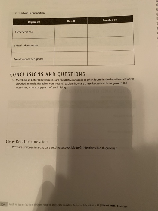 Solved BEEE?!!!... PART VI: IDENTIFICATION OF GRAM POSITIVE | Chegg.com