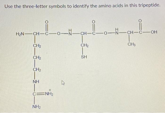 Solved Use the three-letter symbols to identify the amino | Chegg.com