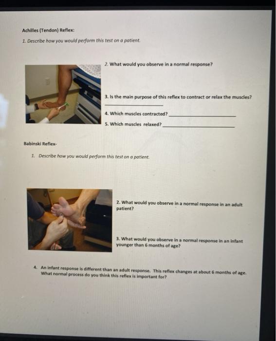 Solved Name: Lab Section: Sensory Neurons, Reflexes and | Chegg.com