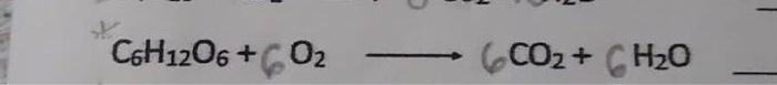 Solved C6H12O6 +02 CO2 + H20 | Chegg.com