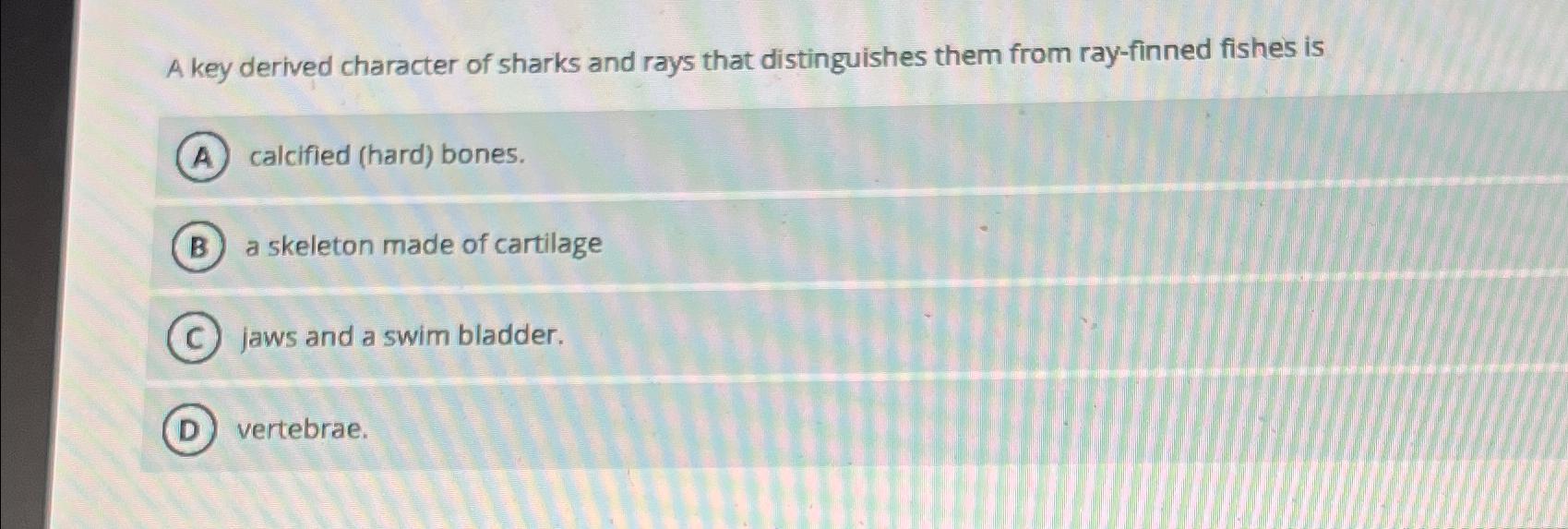 A key derived character of sharks and rays that | Chegg.com