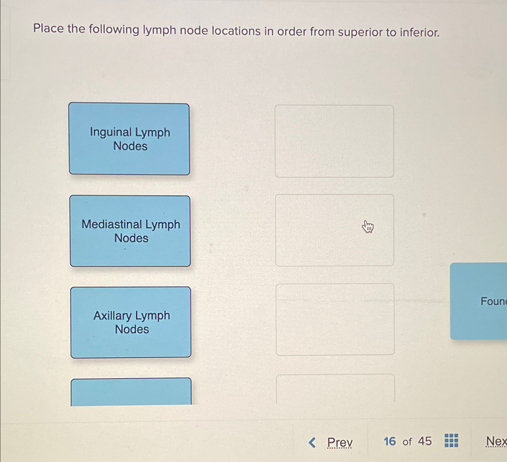 Solved Place the following lymph node locations in order | Chegg.com