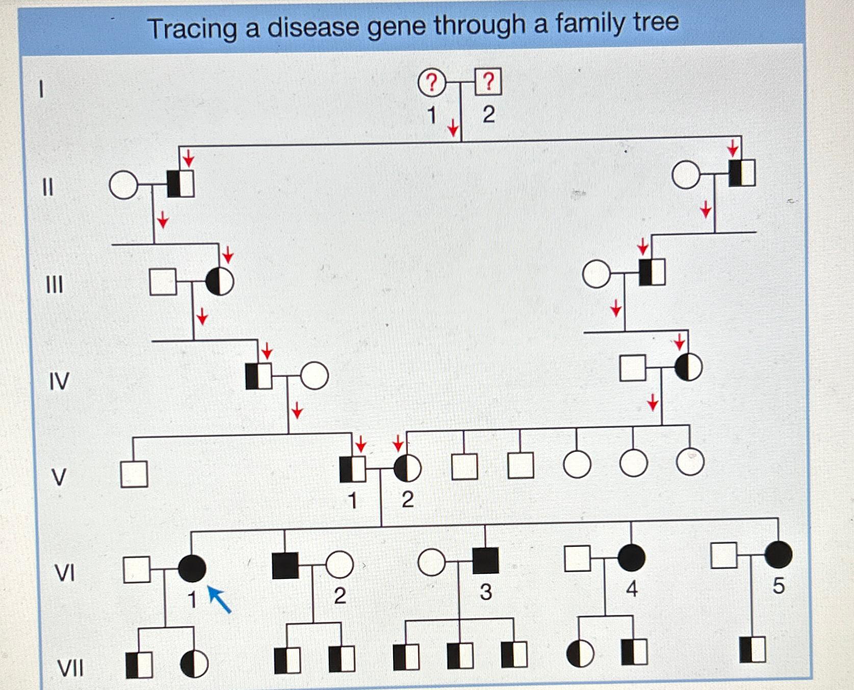 Solved Tracing a disease gene through a family tree | Chegg.com