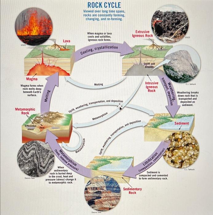 Solved 2- Use the rock Cycle to explain the statement "One | Chegg.com