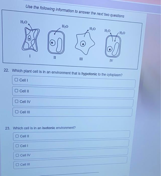 Solved Rules for Making Scientific Laboratory Drawings 1. | Chegg.com