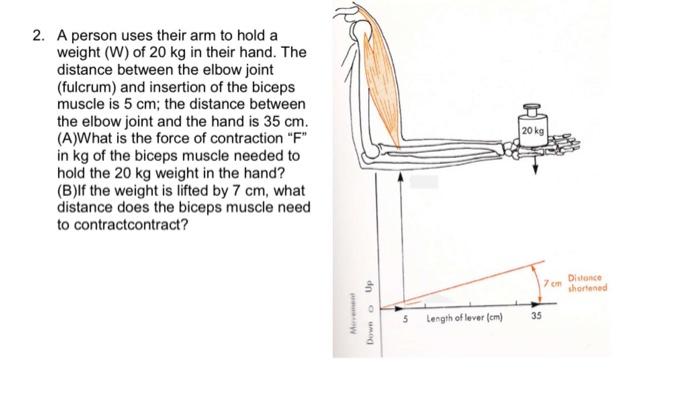 Solved 2. A person uses their arm to hold a weight (W) of 20 | Chegg.com
