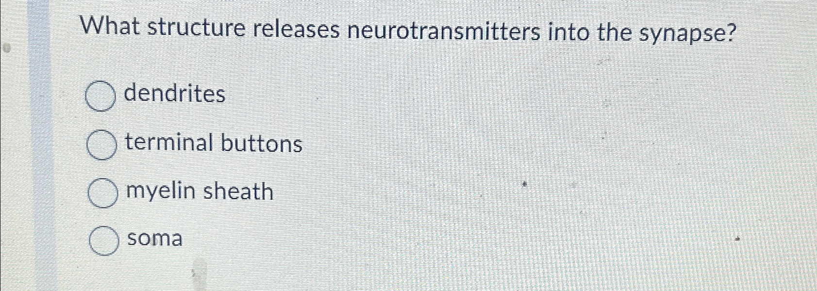 Solved What structure releases neurotransmitters into the | Chegg.com