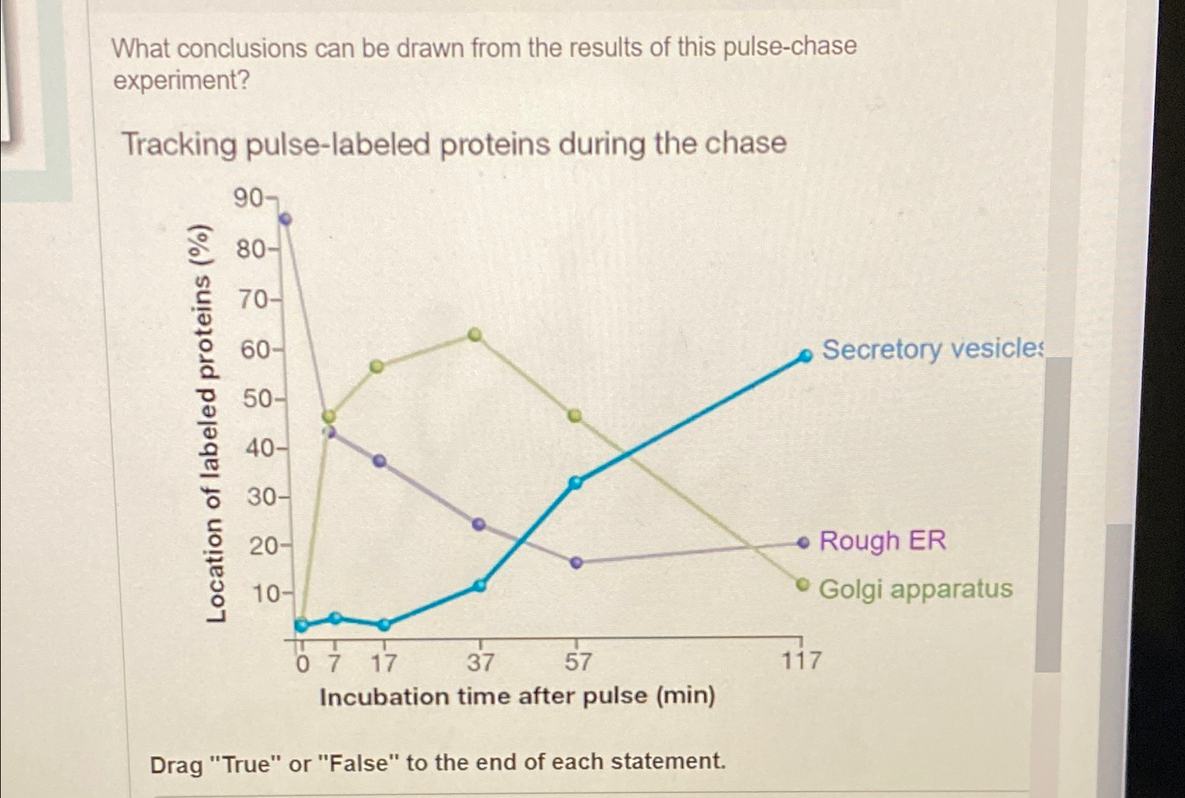 Solved What conclusions can be drawn from the results of | Chegg.com