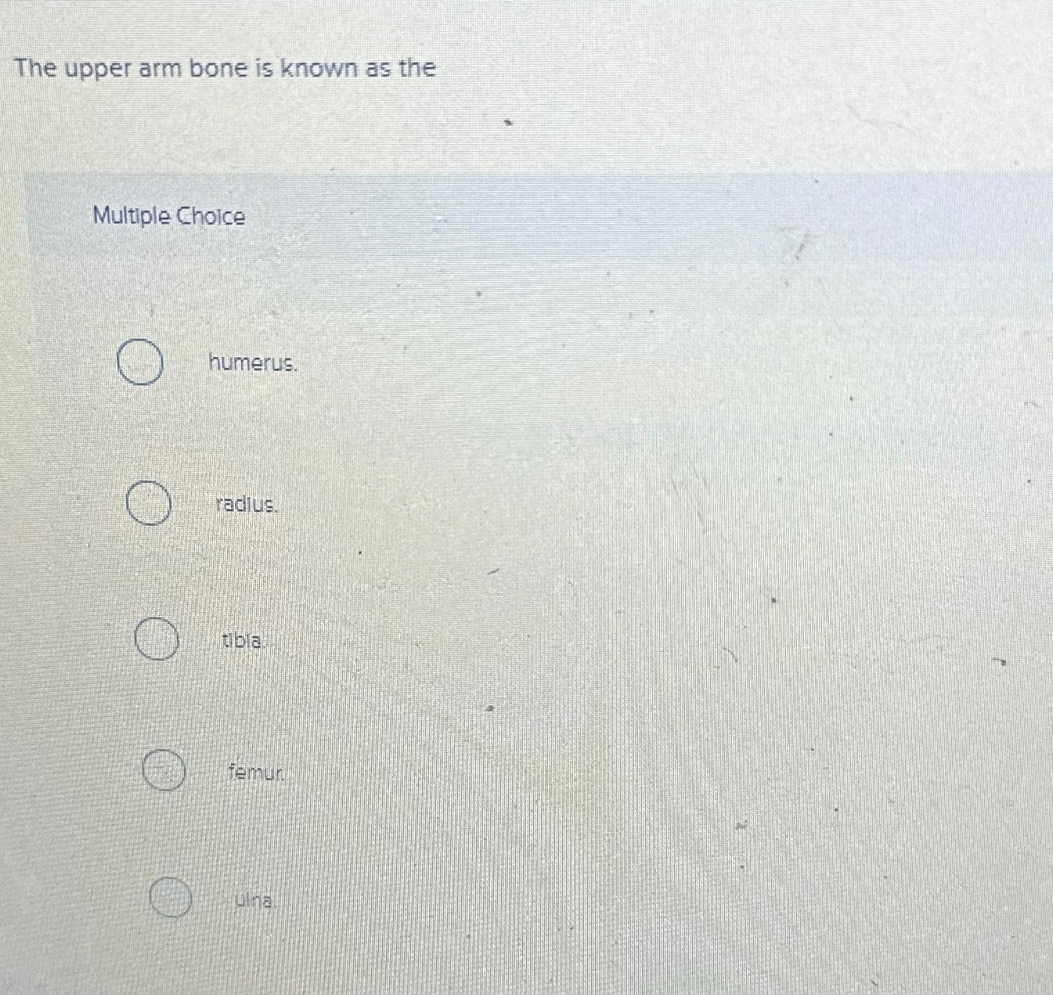 Solved The upper arm bone is known as theMultiple | Chegg.com
