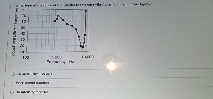 Solved What type of measure of the Basilar Membrane | Chegg.com