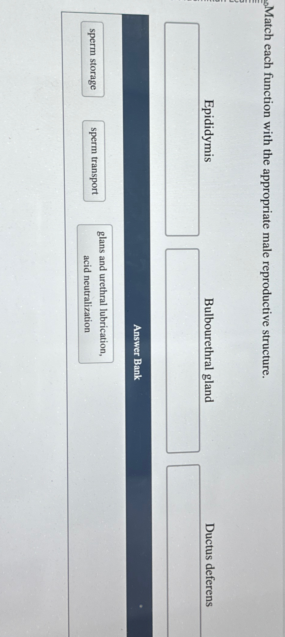 Solved ?20 ﻿Match each function with the appropriate male | Chegg.com