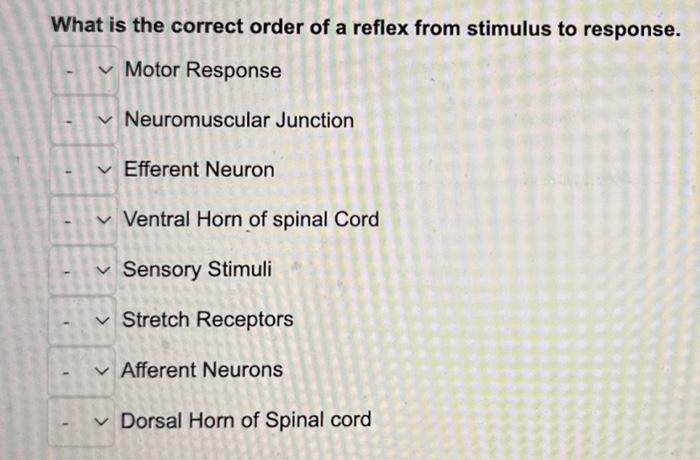 Solved What is the correct order of a reflex from stimulus | Chegg.com