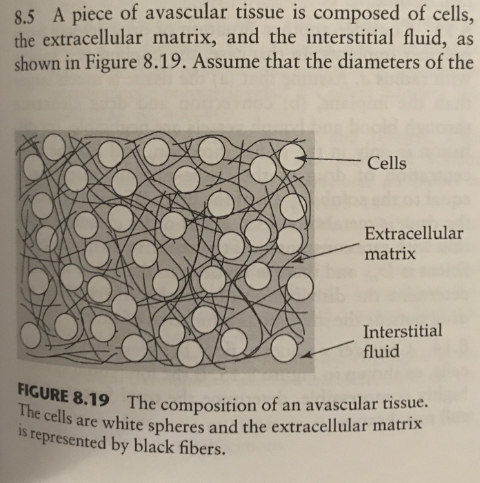 Solved 8.5 A piece of avascular tissue is composed of cells, | Chegg.com