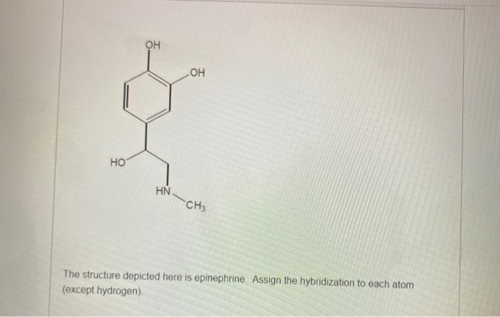 Solved OH OH HN -CH3 The structure depicted here is | Chegg.com