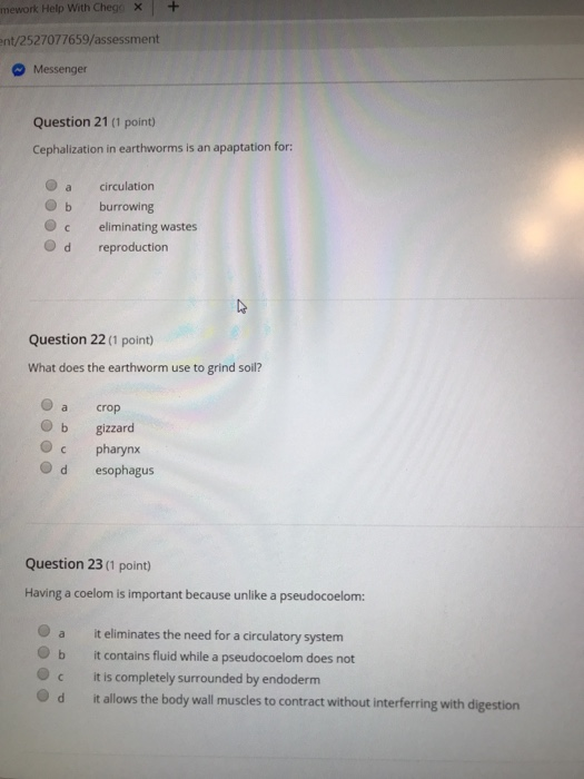Solved mework Help With Chego X ent/2527077659/assessment | Chegg.com Solved mework Help With Chego X ent/2527077659/assessment | Chegg.com