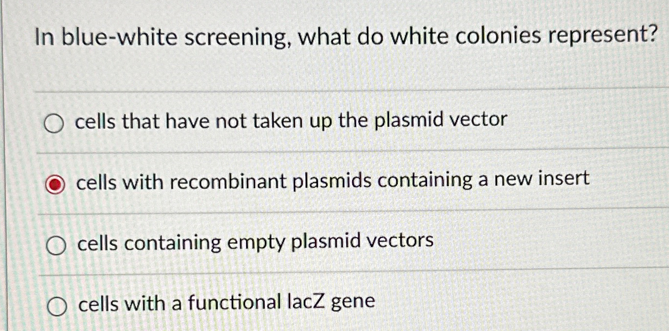 Solved In blue-white screening, what do white colonies | Chegg.com