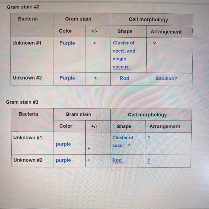 Solved 1)please insert Dichotomous key.2)there is list of | Chegg.com