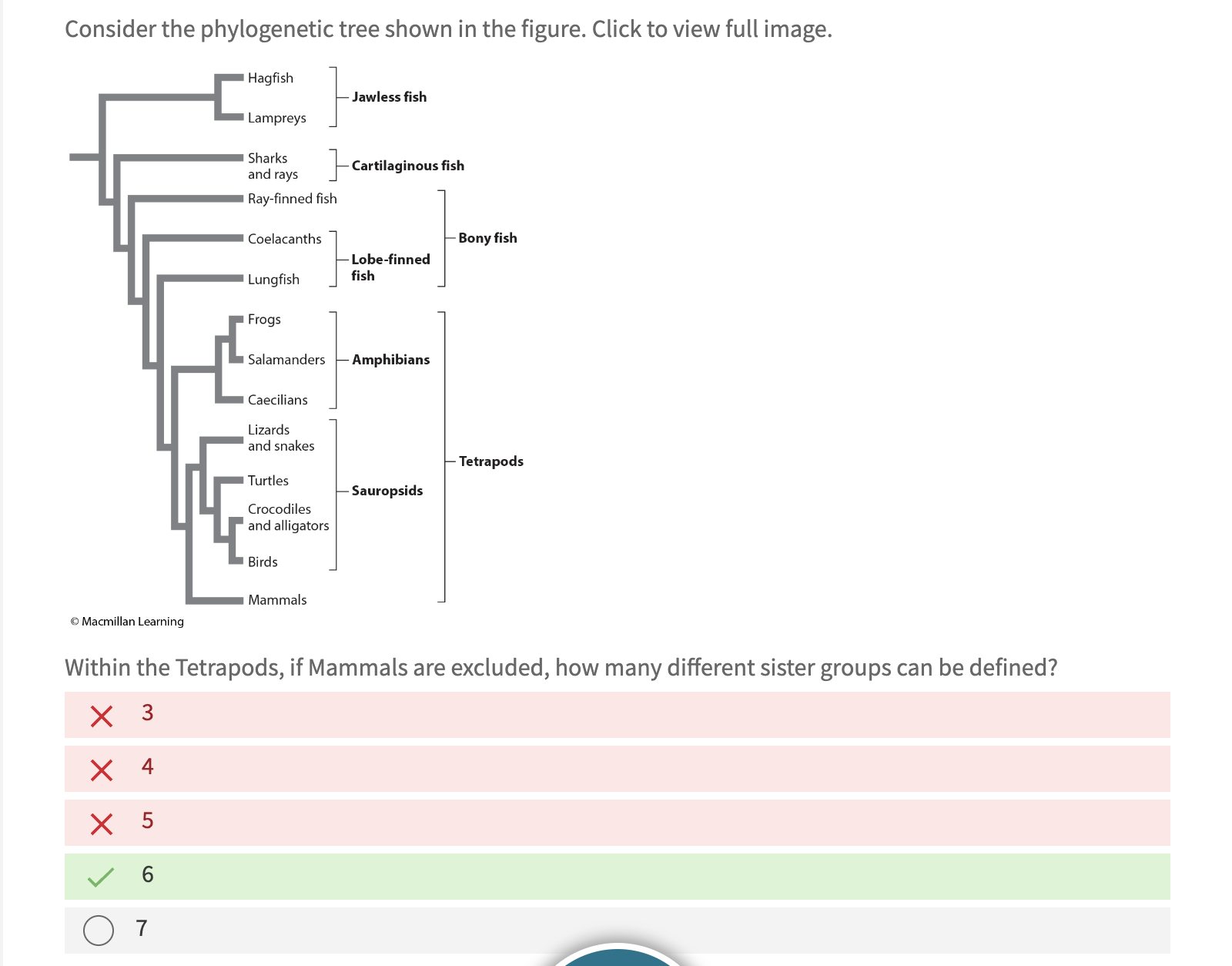 Consider the phylogenetic tree shown in the figure. | Chegg.com
