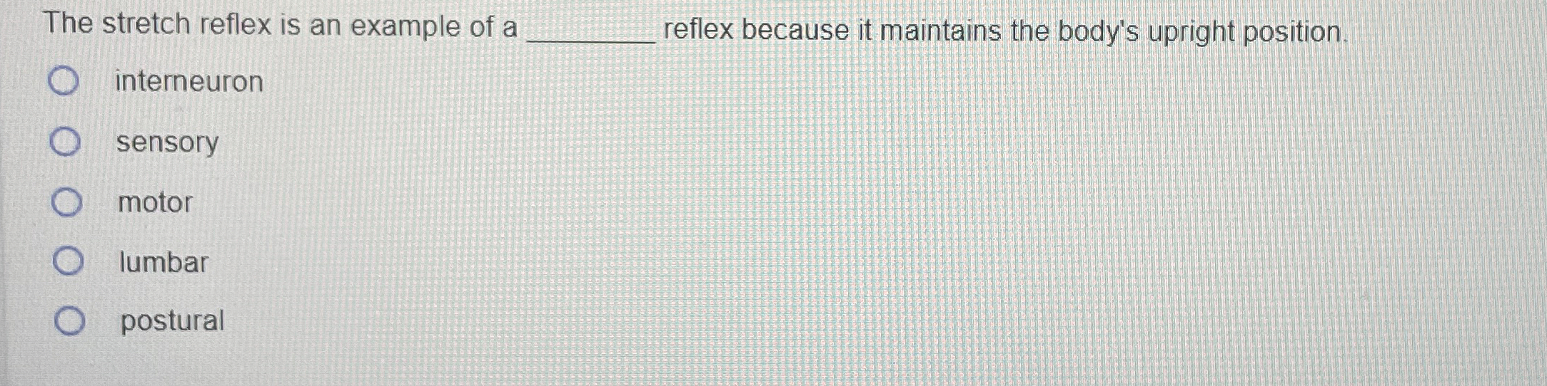 Solved The stretch reflex is an example of areflex because | Chegg.com