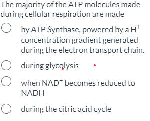 Solved False Which of the following statements best | Chegg.com