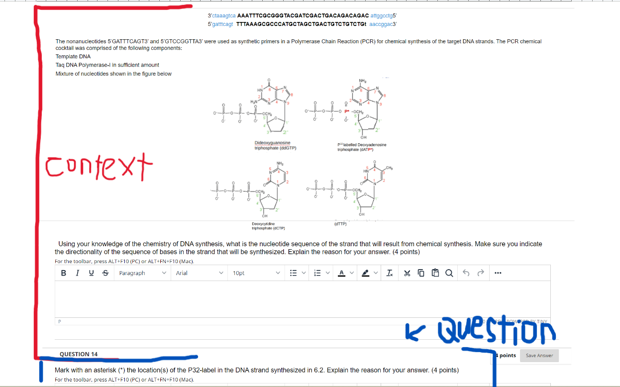 Solved Mark with an asterisk (*) ﻿the location(s) ﻿of the | Chegg.com
