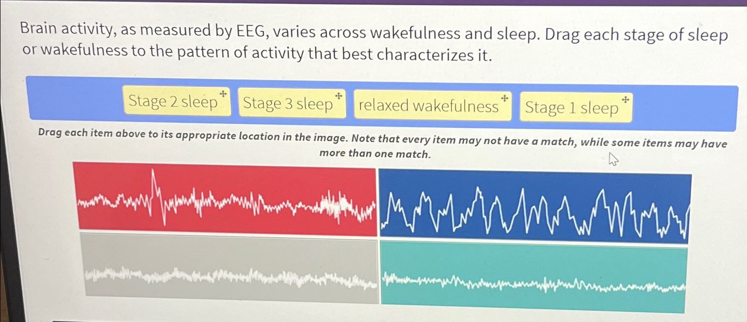 Solved Brain activity, as measured by EEG, varies across | Chegg.com