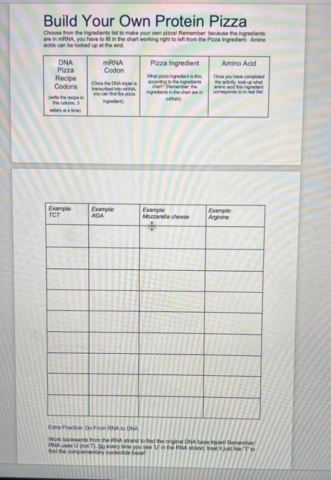 Part 2: Decoding a Protein Pizza Choose one of the | Chegg.com