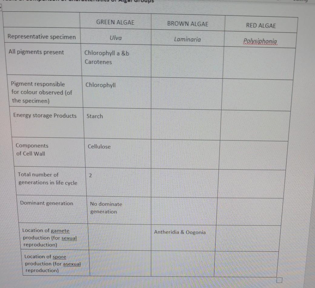 Solved GREEN ALGAE BROWN ALGAE RED ALGAE Representative | Chegg.com