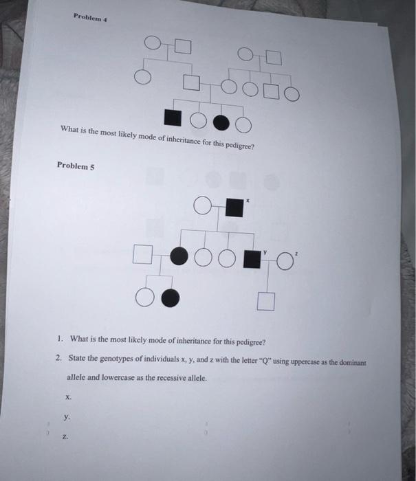 Solved Problem 3 What is the most likely mode of inheritance | Chegg.com