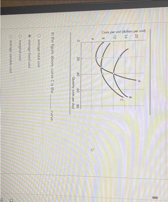 Solved In the figure above, curve C is the curve. average | Chegg.com