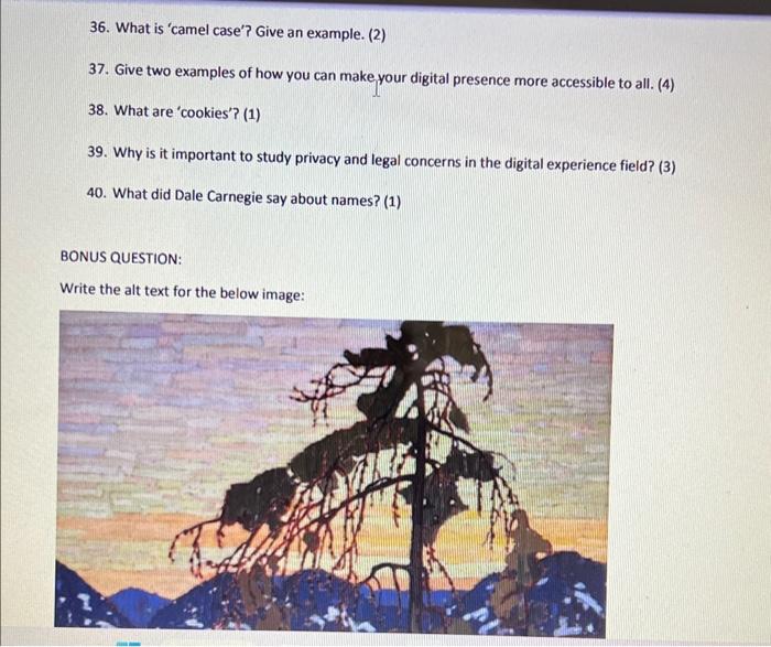 Solved 36. What is 'camel case'? Give an example. (2) 37. | Chegg.com