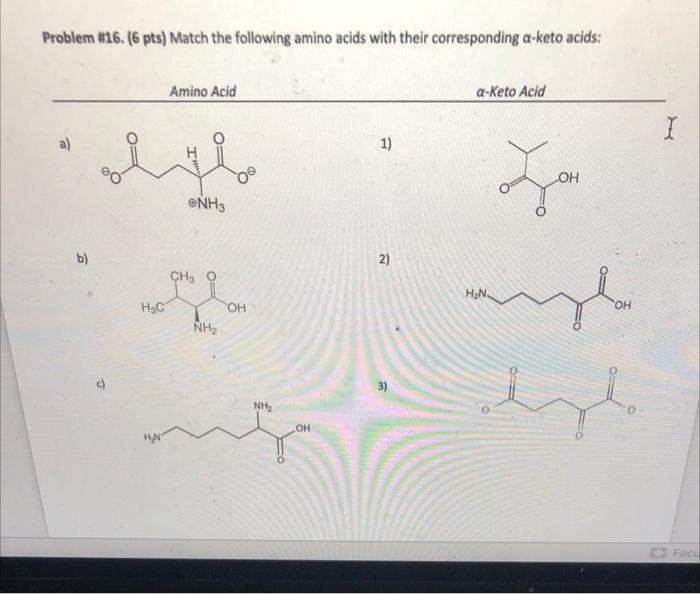 Solved Problem 816. (6 pts) Match the following amino acids | Chegg.com